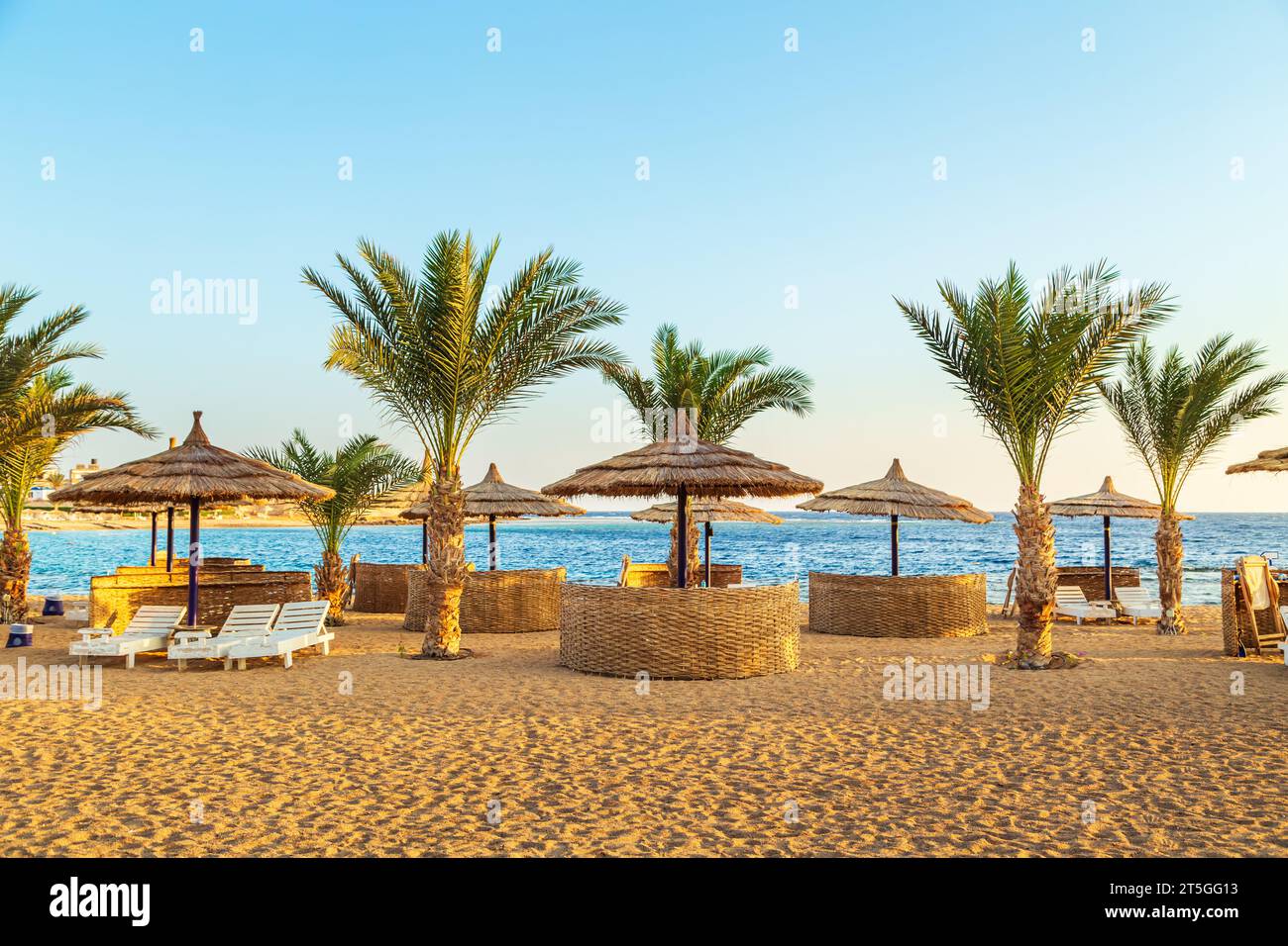 Sunny resort beach with palm trees and umbrellas on the shores of the ...