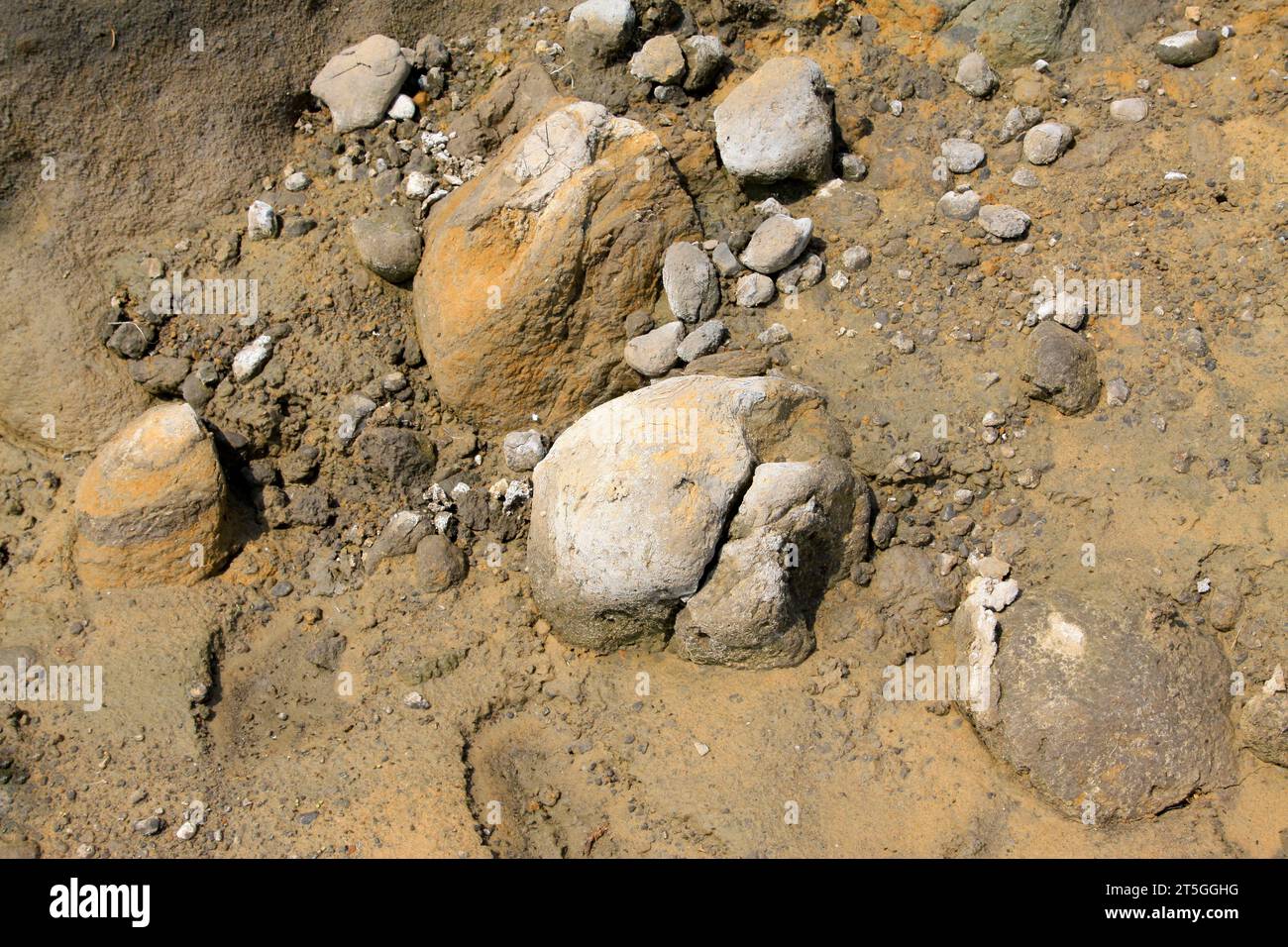 earth surface geological structure, closeup of photo Stock Photo - Alamy
