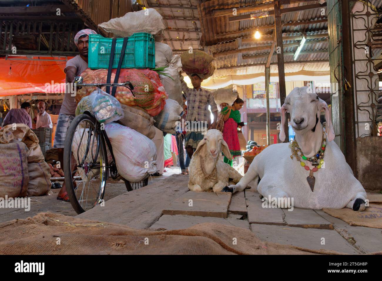 At a vegetable and meat market in Null Bazar, Mumbai, India, a man ...