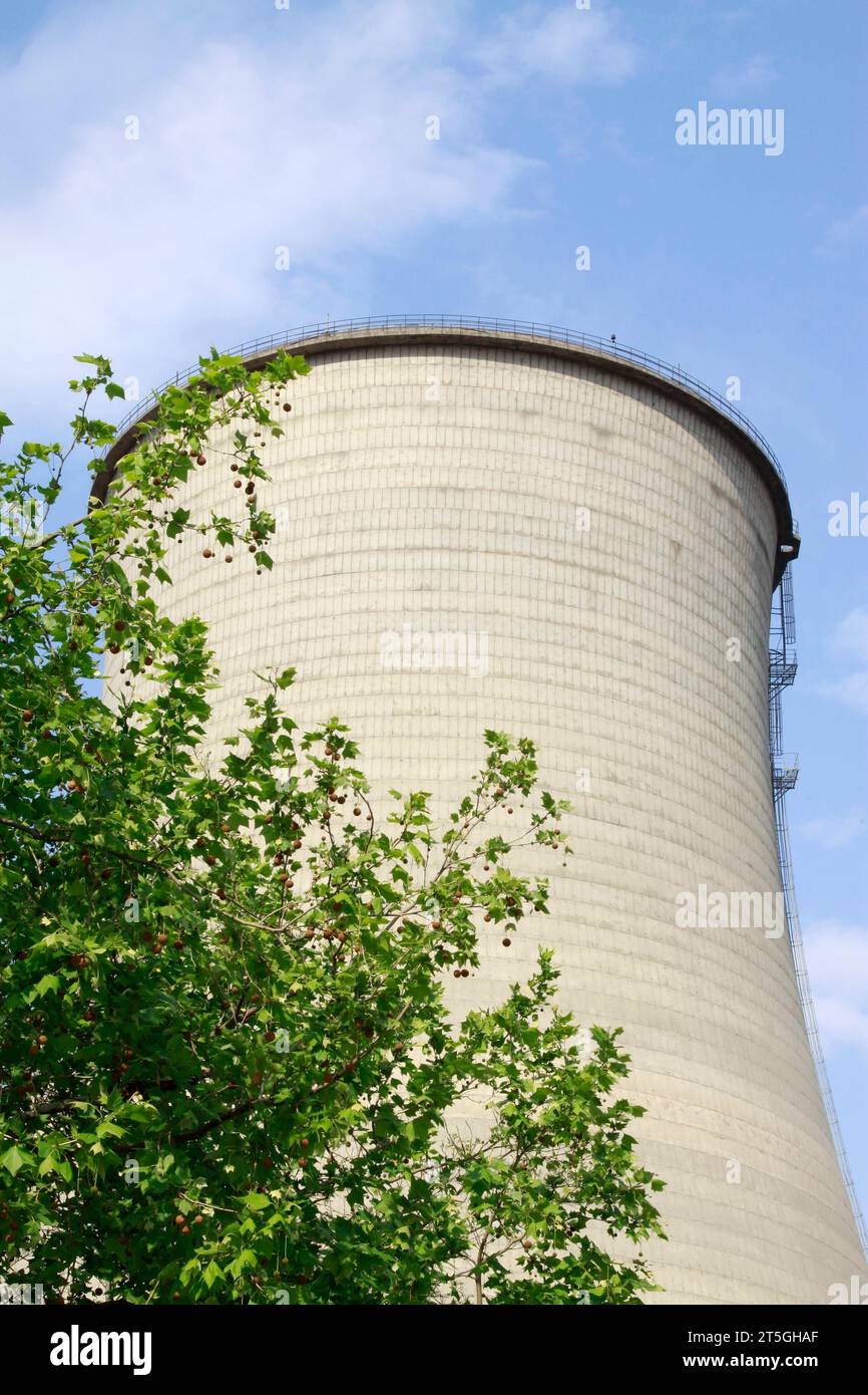heavy industrial water cooling tower and the green tree, north china ...