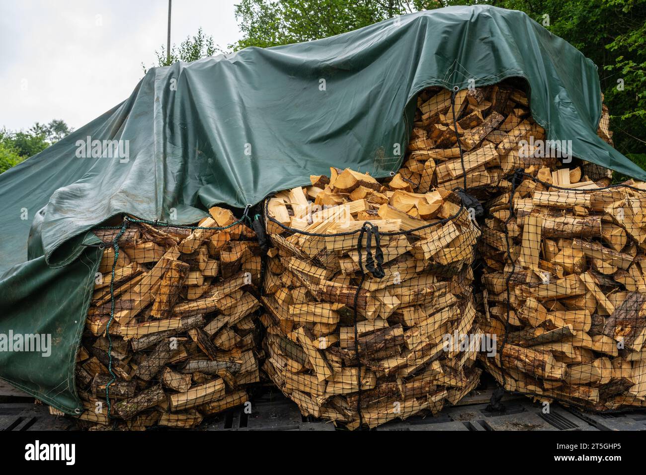 Fire wood packed in sacks on pallets Stock Photo - Alamy