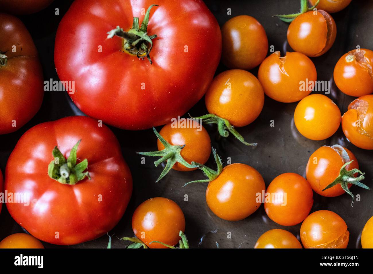 Tomato sizes hi-res stock photography and images - Alamy