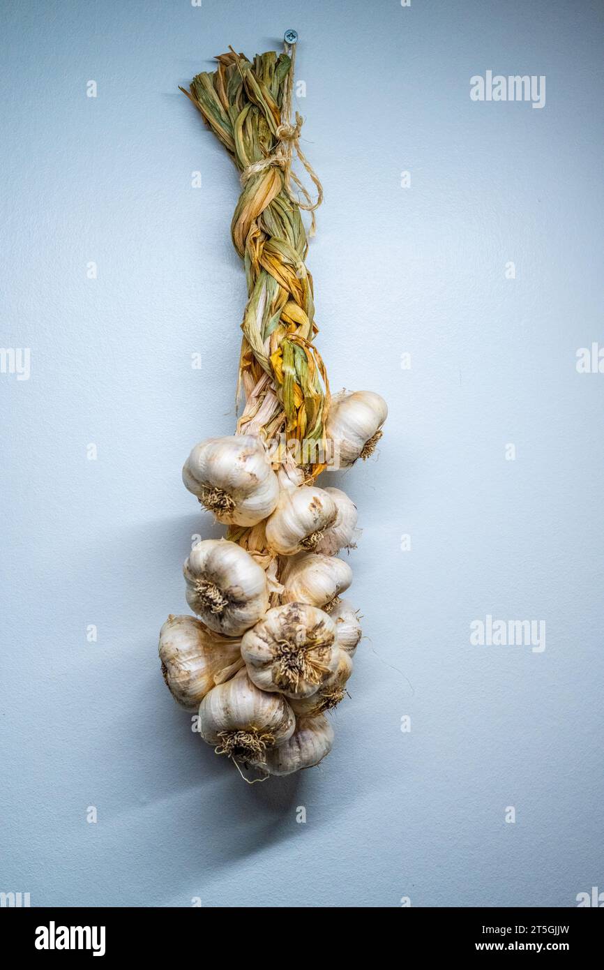 Bunch of garlic hanging on a wall Stock Photo - Alamy