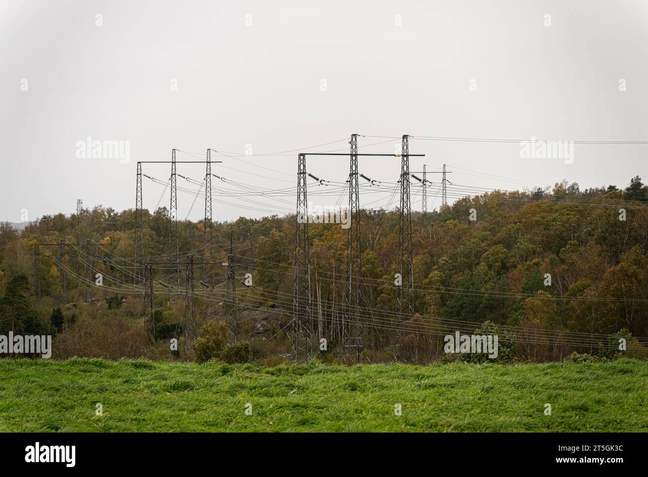 Massive power lines over a forest Stock Photo - Alamy