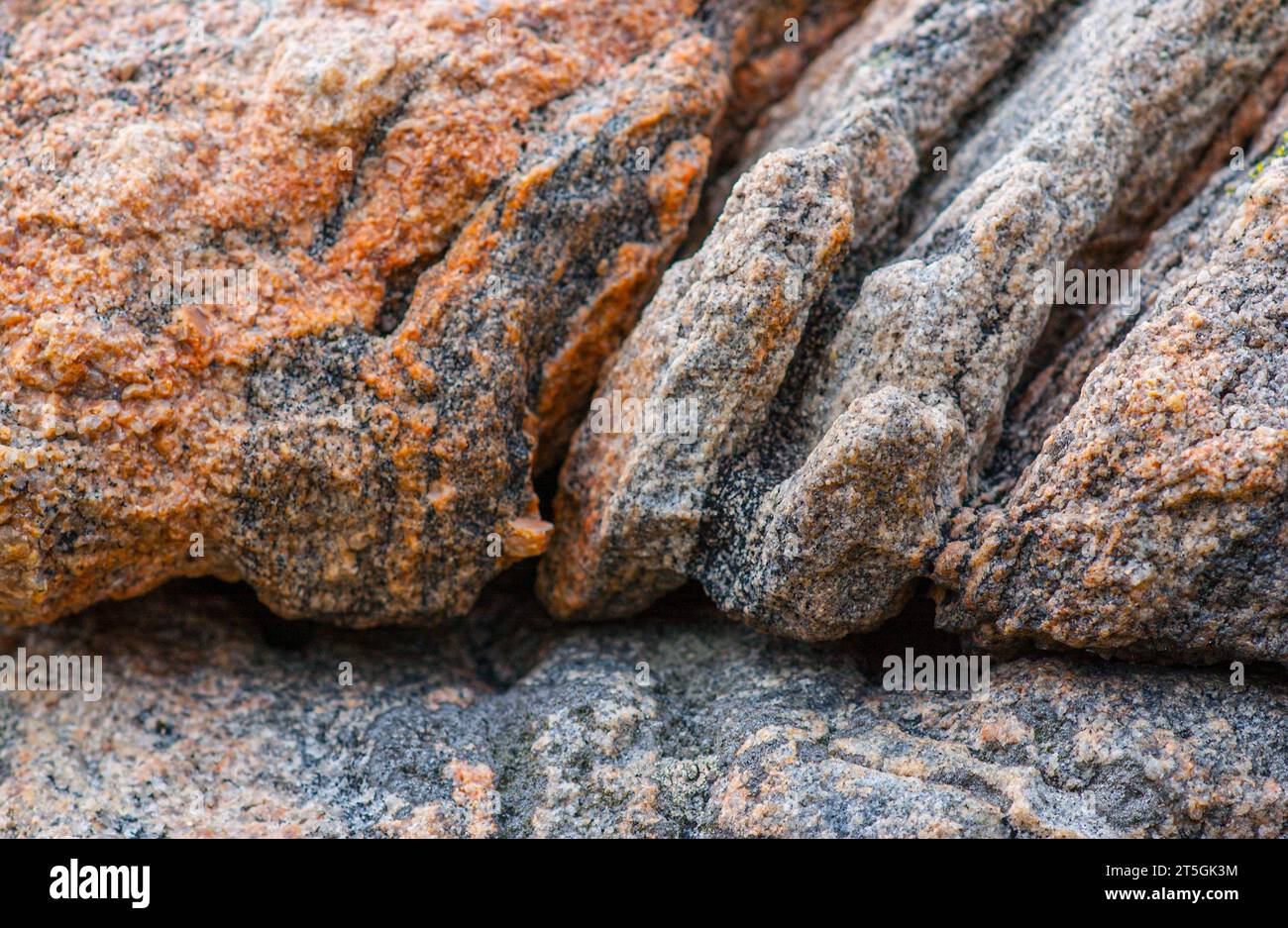 Grey and pink gneiss metamorphic rock Stock Photo - Alamy