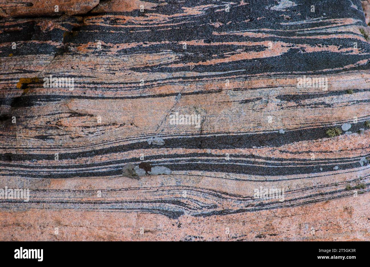 Grey and pink gneiss metamorphic rock Stock Photo - Alamy