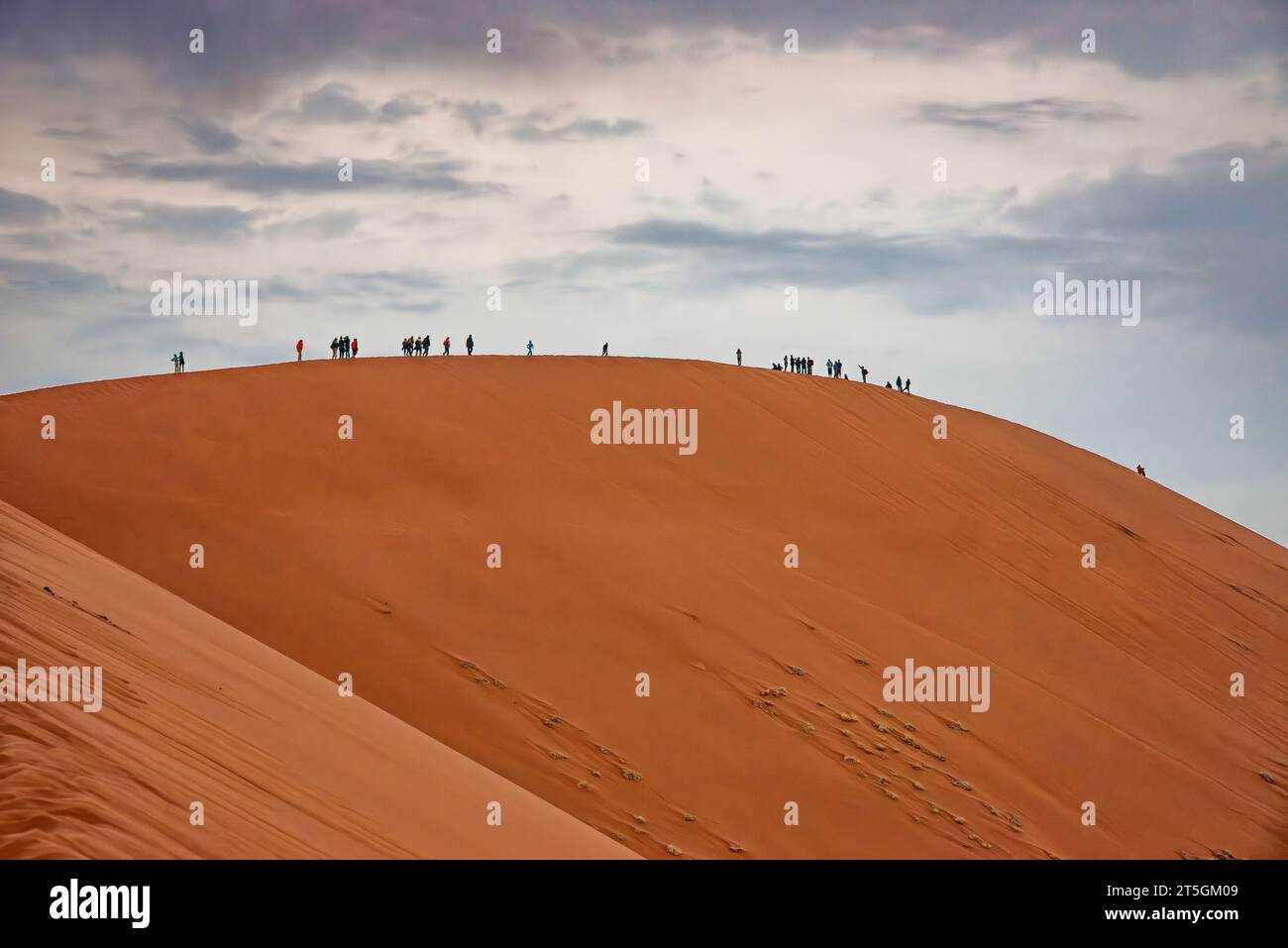 45 sand dune in the Namib desert Stock Photo - Alamy