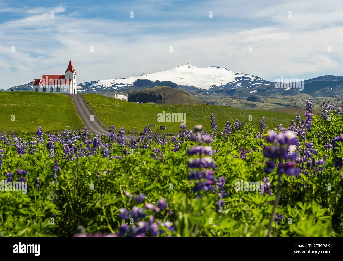 The Historic Ingjaldshóll on the Snaefellsnes Peninsula in West-Iceland ...