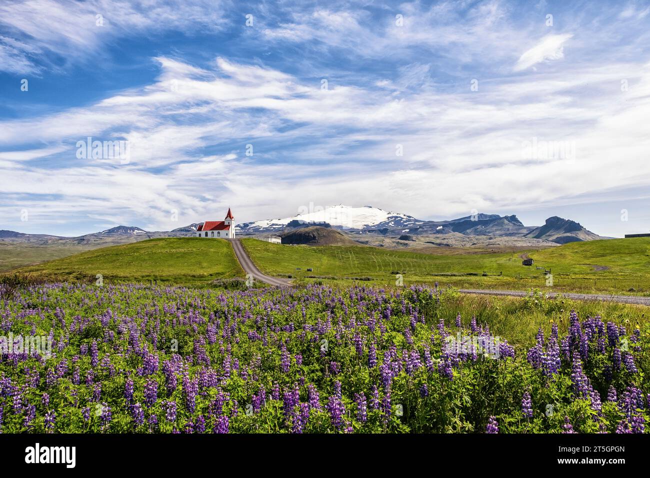 The Historic Ingjaldshóll on the Snaefellsnes Peninsula in West-Iceland ...
