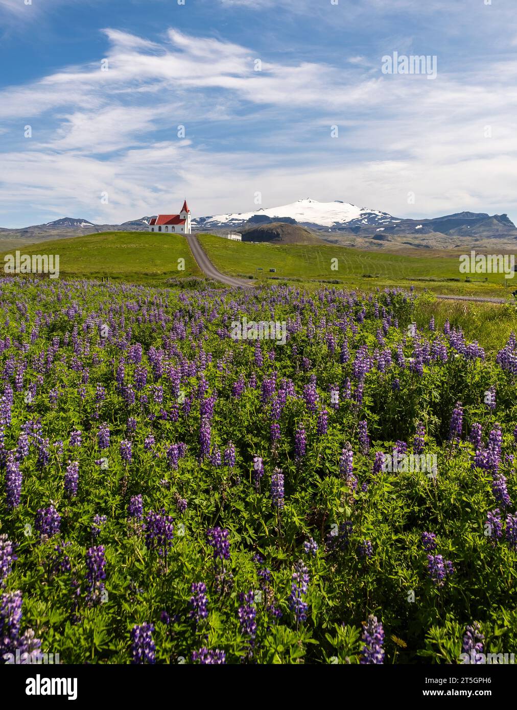 The Historic Ingjaldshóll on the Snaefellsnes Peninsula in West-Iceland ...