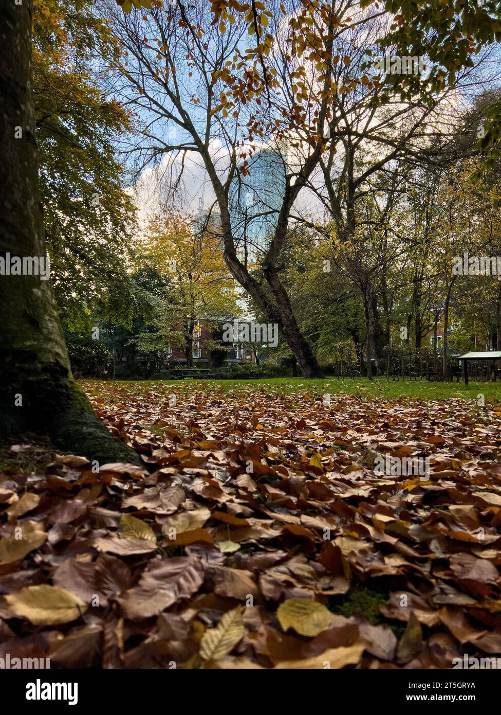 Autumn in Manchester 2 Stock Photo - Alamy