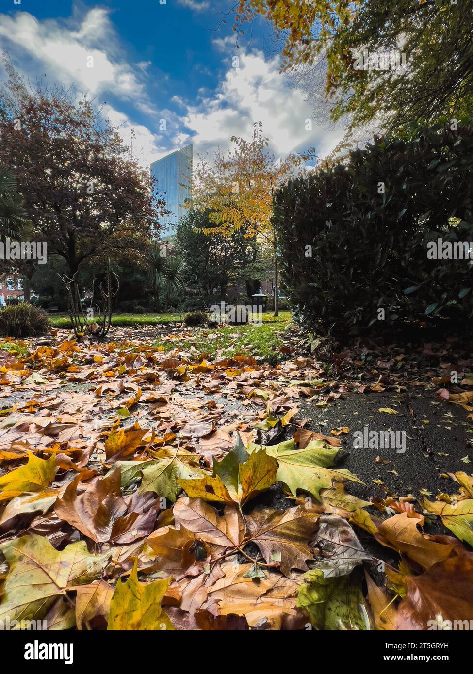 Manchester fall hi-res stock photography and images - Alamy