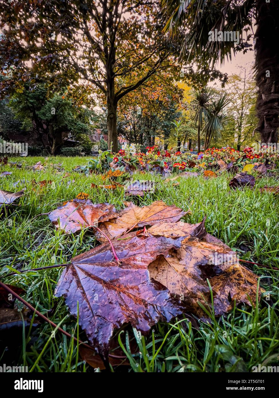 Manchester fall hi-res stock photography and images - Alamy