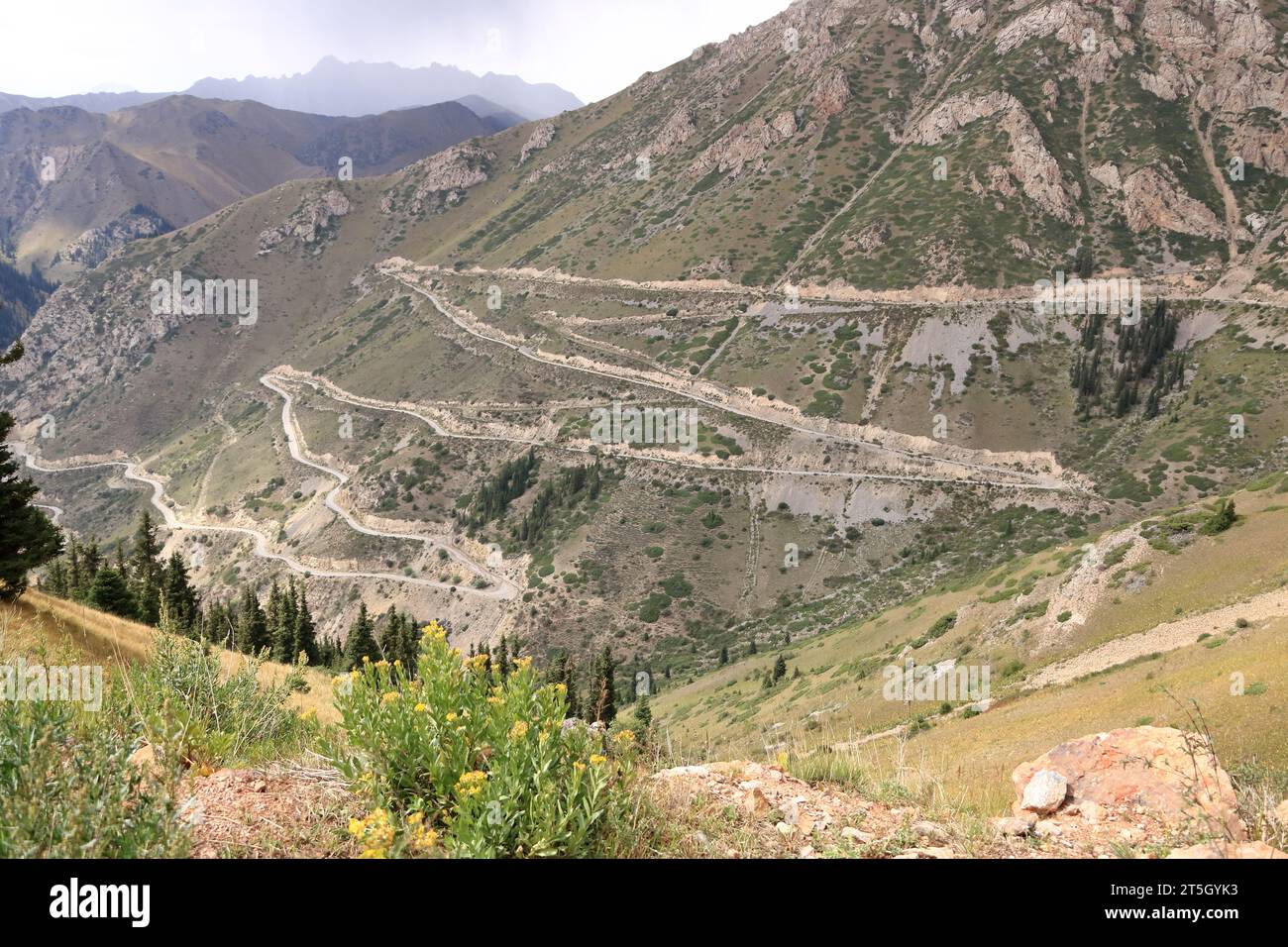 the Moldo-Ashuu pass, district of Songkol Region in western Kyrgyzstan ...