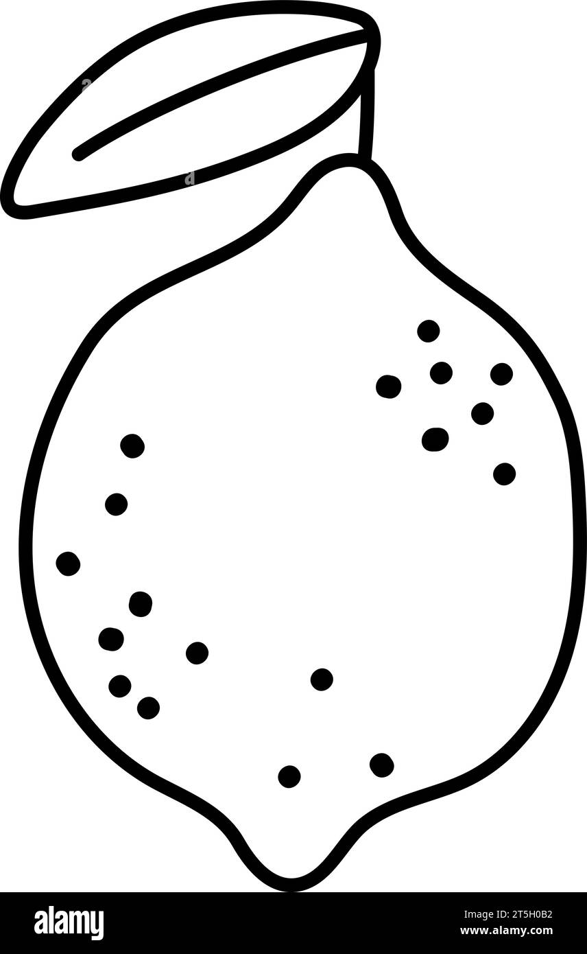 Vector black and white lemon icon. Citrus fruit line illustration or ...