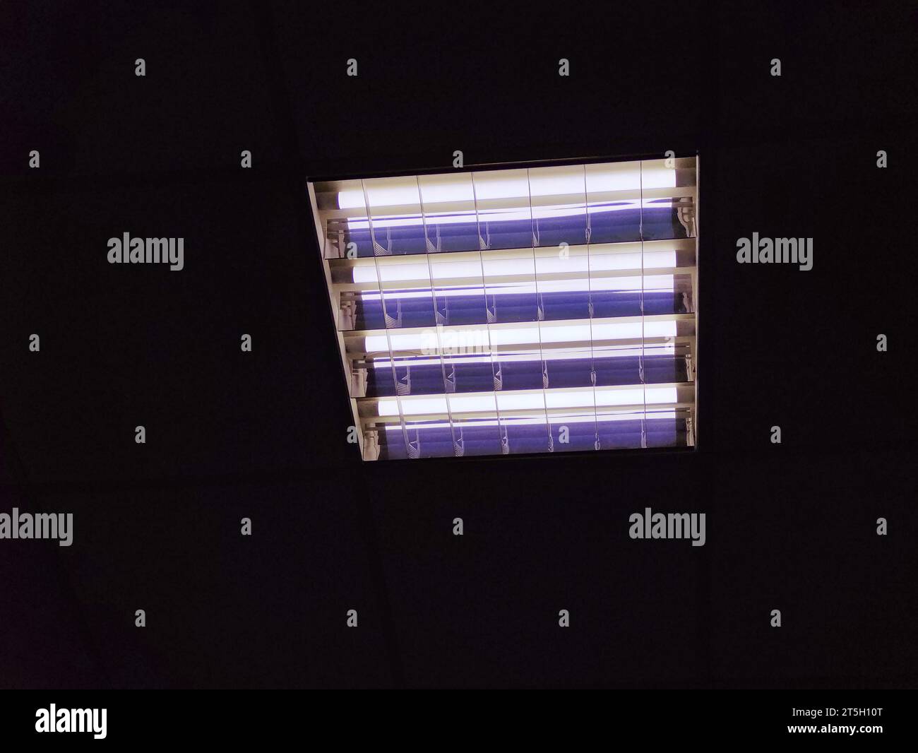 Light in the dark, abstract photo background. Four lights isolated over ...