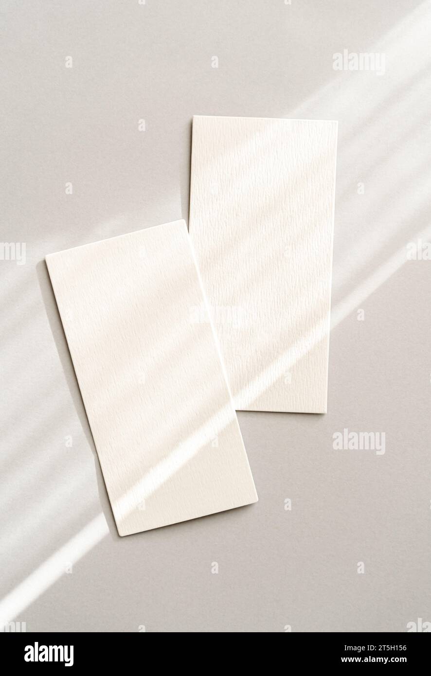 Flat lay of two blank cards sheet on aesthetic pastel grey background ...