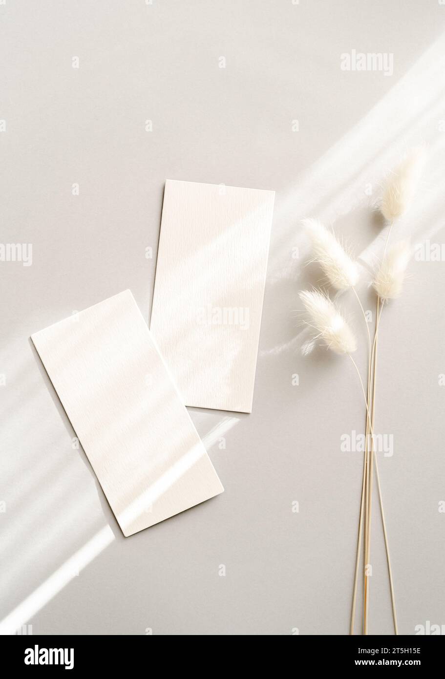 Flat lay of two blank cards sheet on aesthetic pastel grey background ...