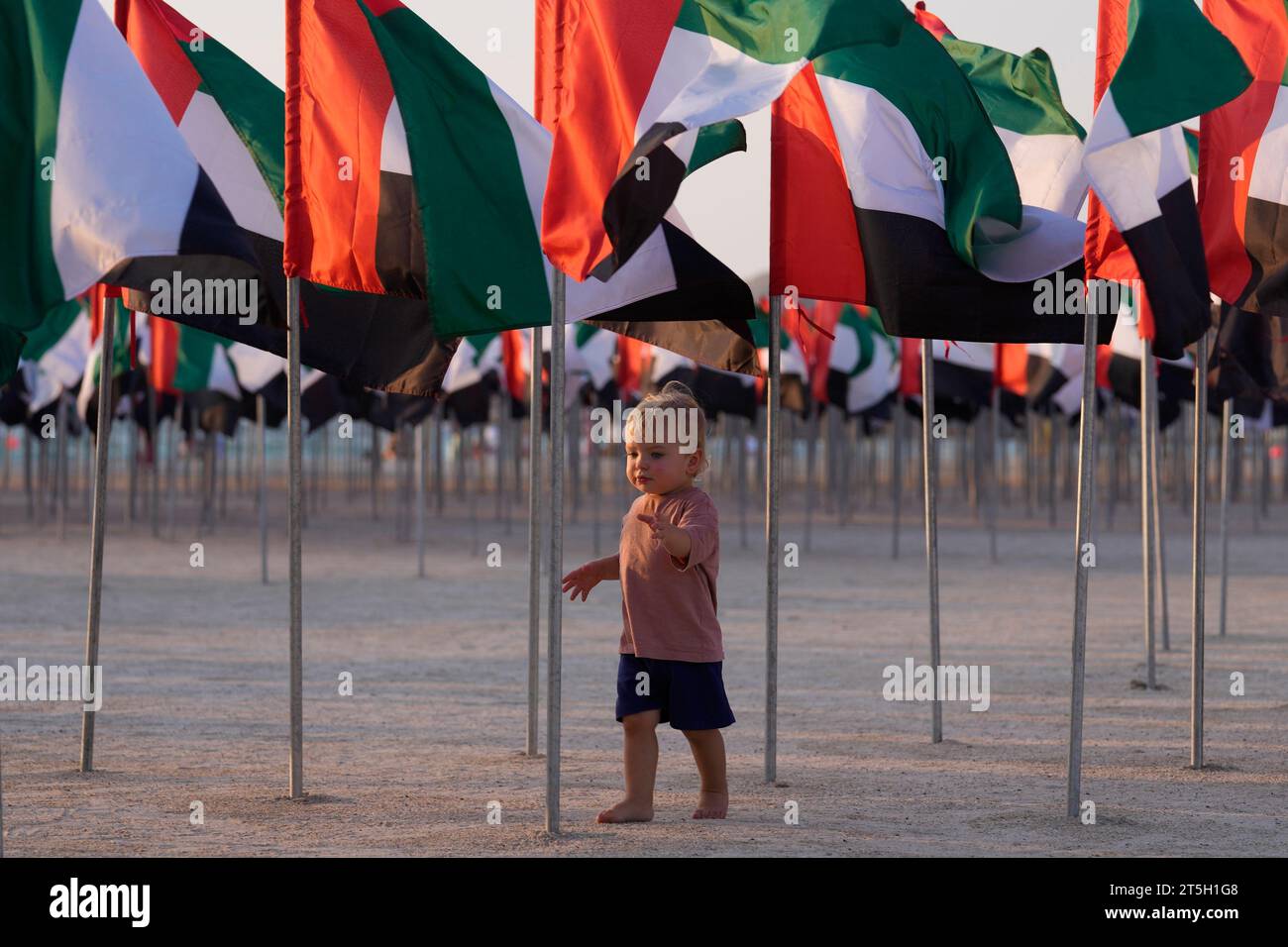 A boy walks among six thousands flags on display to celebrate the ...