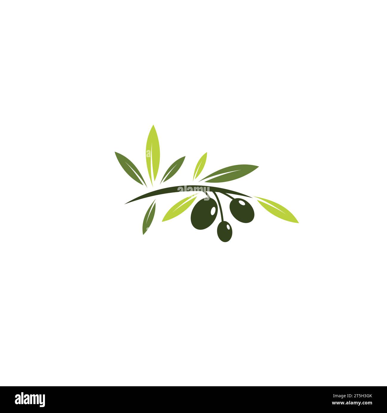 olive oil logo vector. olive oil illustration Stock Vector Image & Art ...