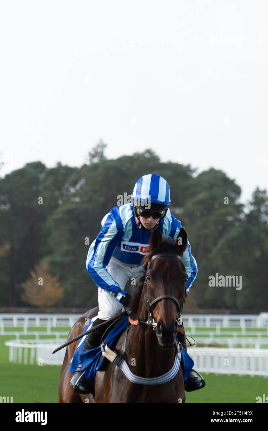 Amy murphy trainer hi-res stock photography and images - Alamy