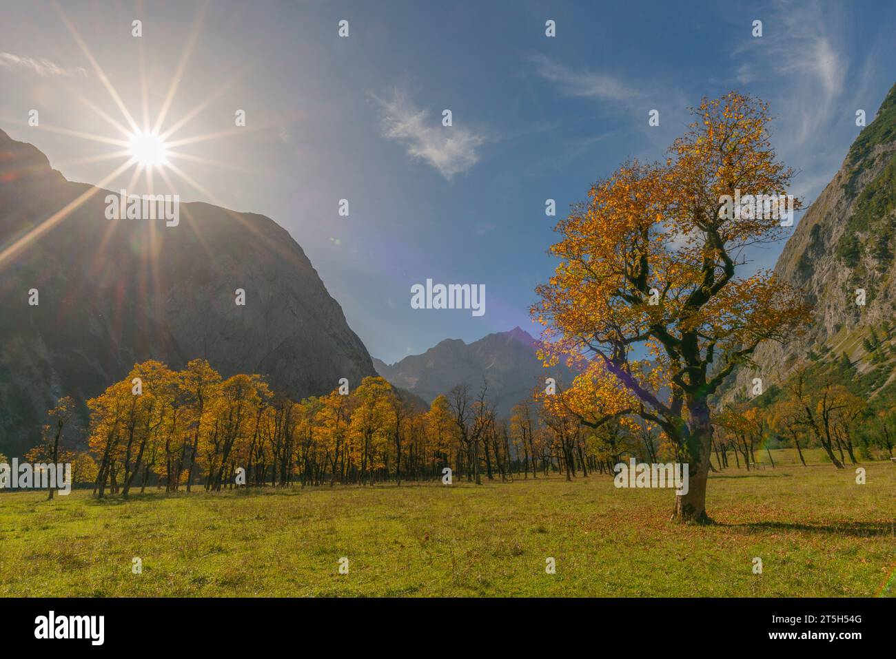Colorful fall foilage in the Ahorn Boden, Maple Ground, Engtal or Eng ...