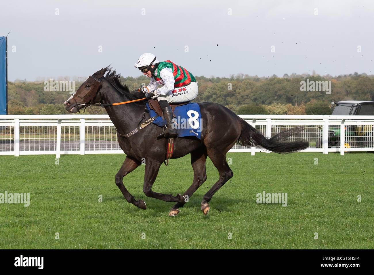Ascot, Berkshire, UK. 4th November, 2023. Horse Prince Imperial ridden ...
