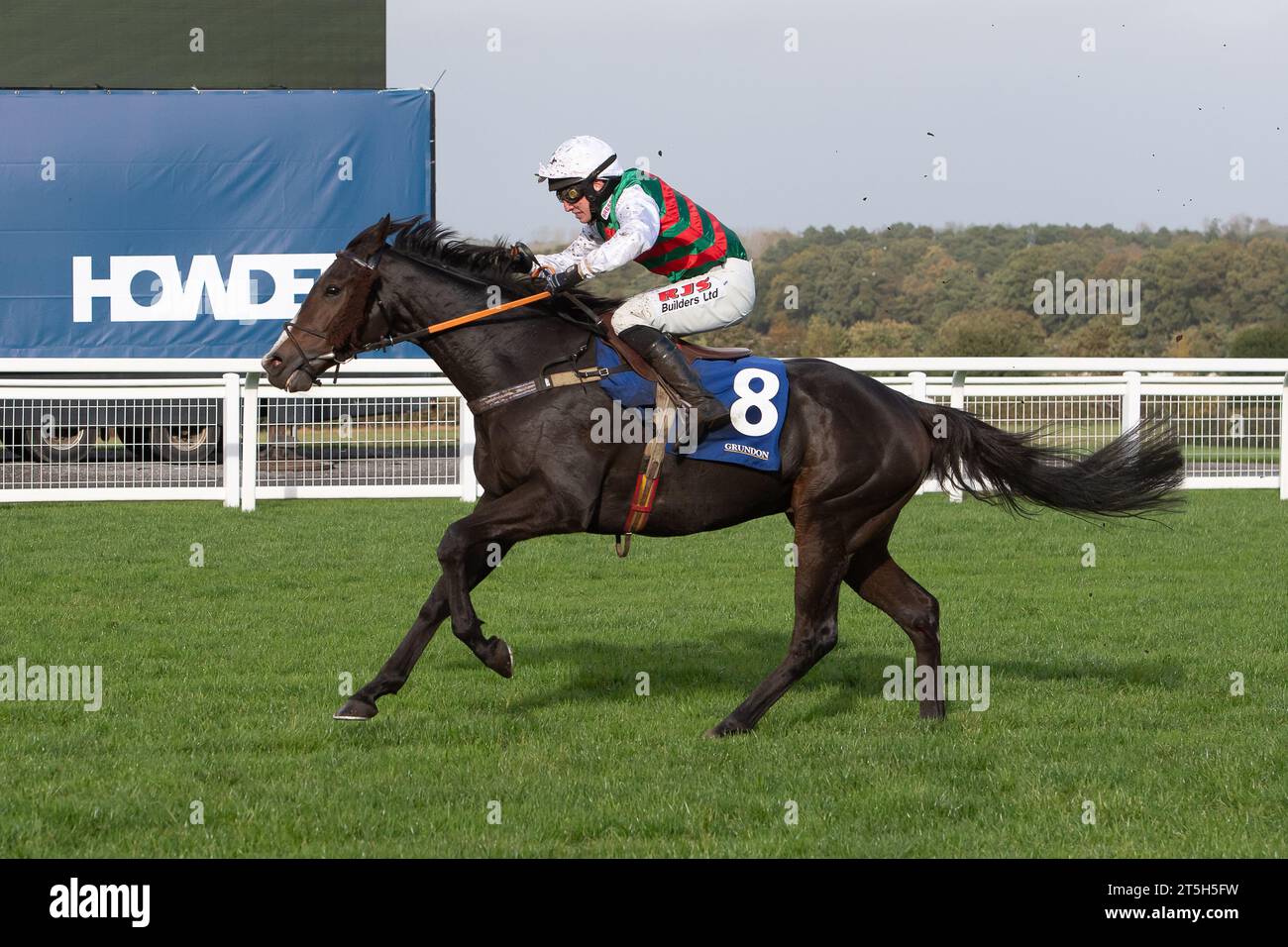 Ascot, Berkshire, UK. 4th November, 2023. Horse Prince Imperial ridden ...