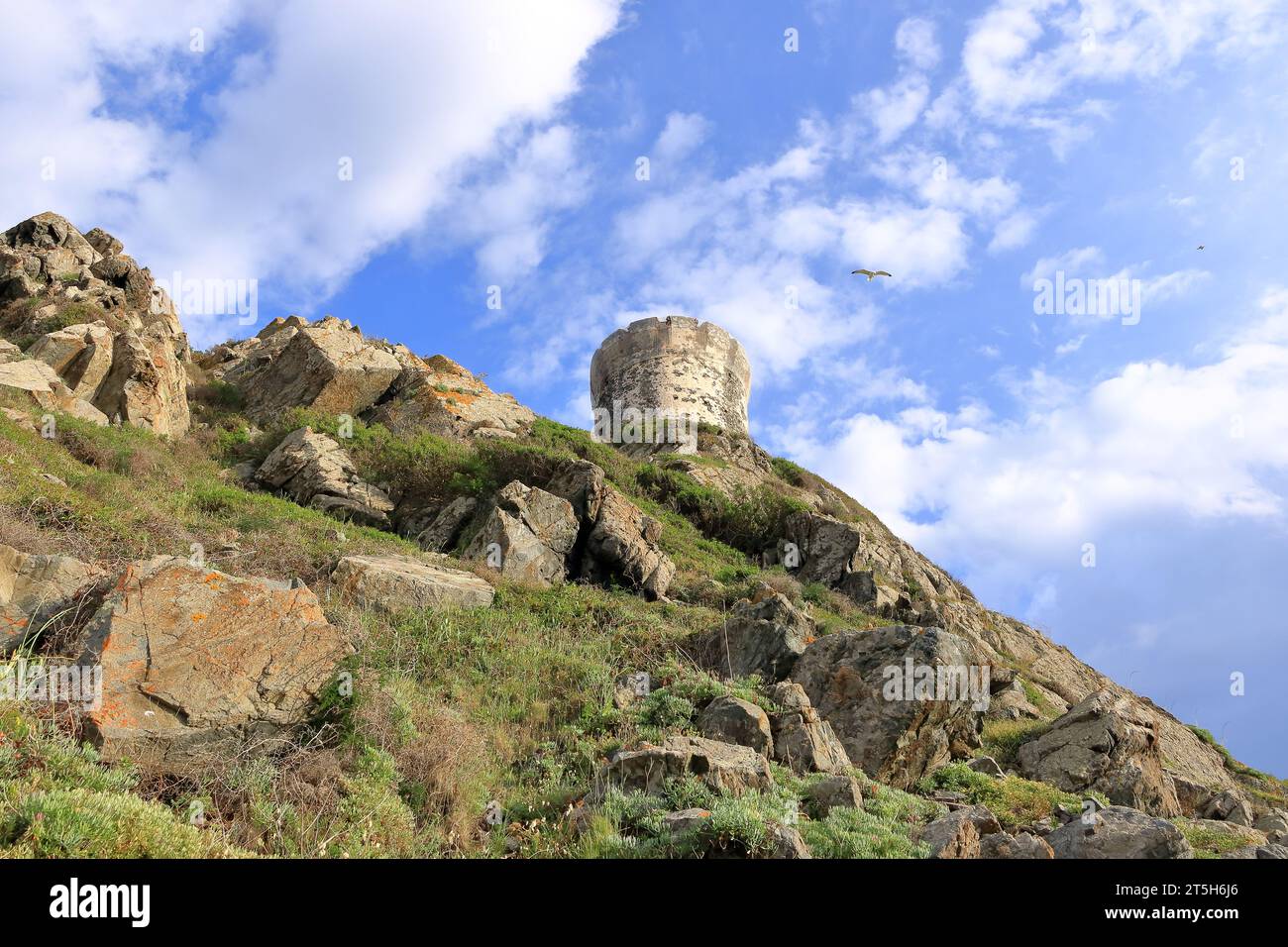 Aerial view of the remains of the Genoese Tower of La Parata built on ...