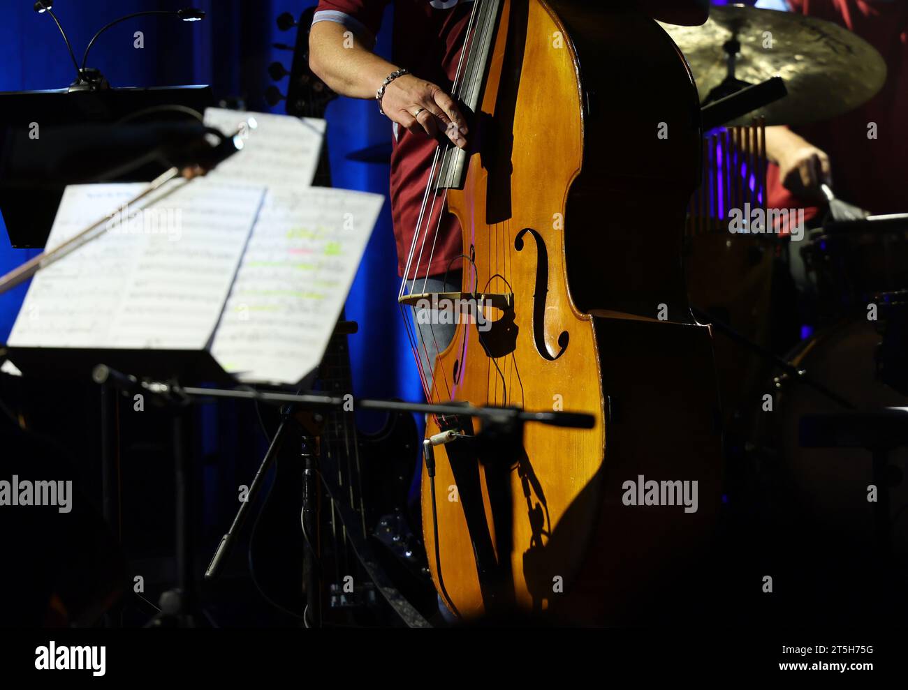 Double bass large string hi-res stock photography and images - Alamy