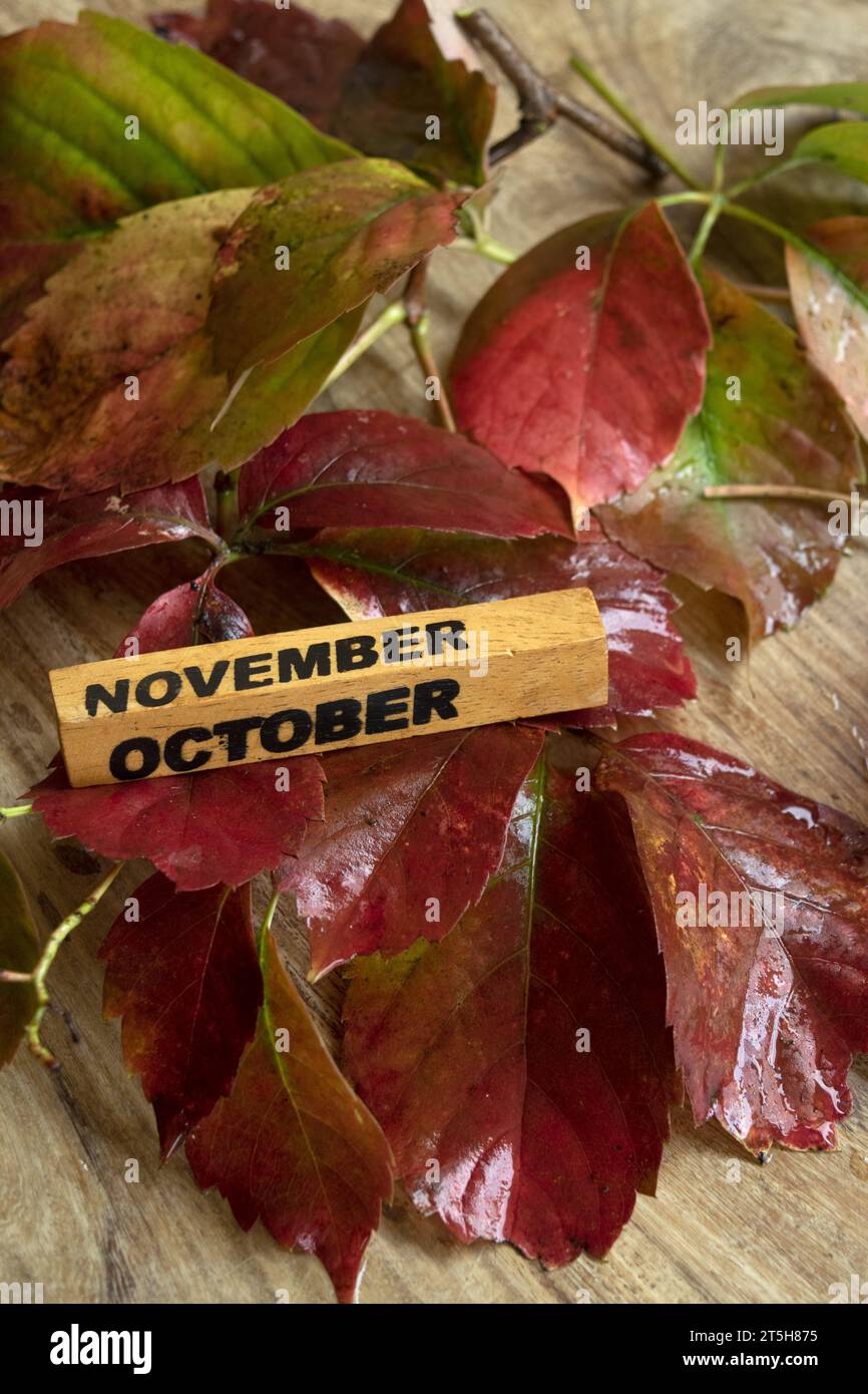 autumn concept with yellowed leaves and the lettering November and ...