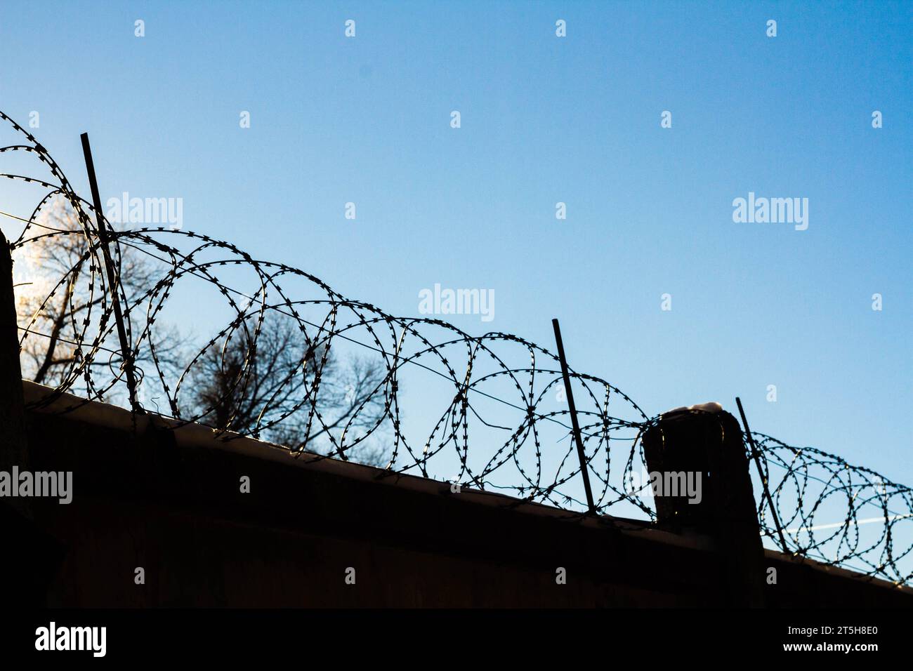 Barbed wire on the prison fence. A closed prison. Security concept ...