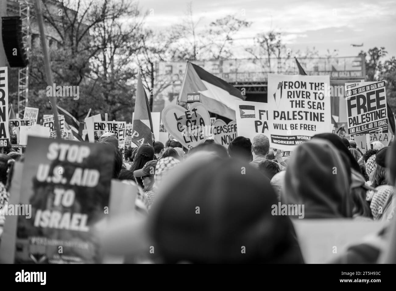 Washington, DC - 11-4-2023: Pro-Palestine Signs at Palestine March ...
