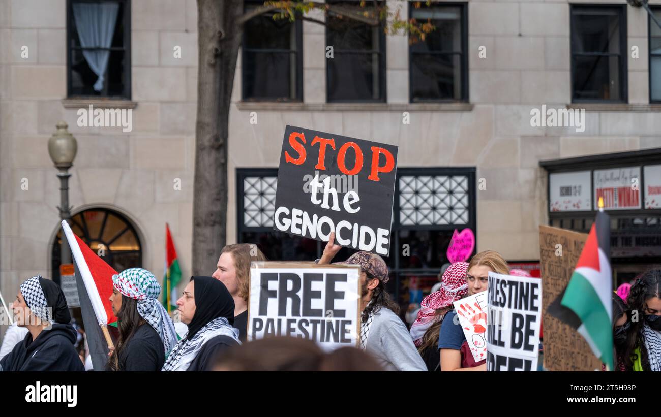 Washington, DC - 11-4-2023: Pro-Palestine Signs at Palestine March ...