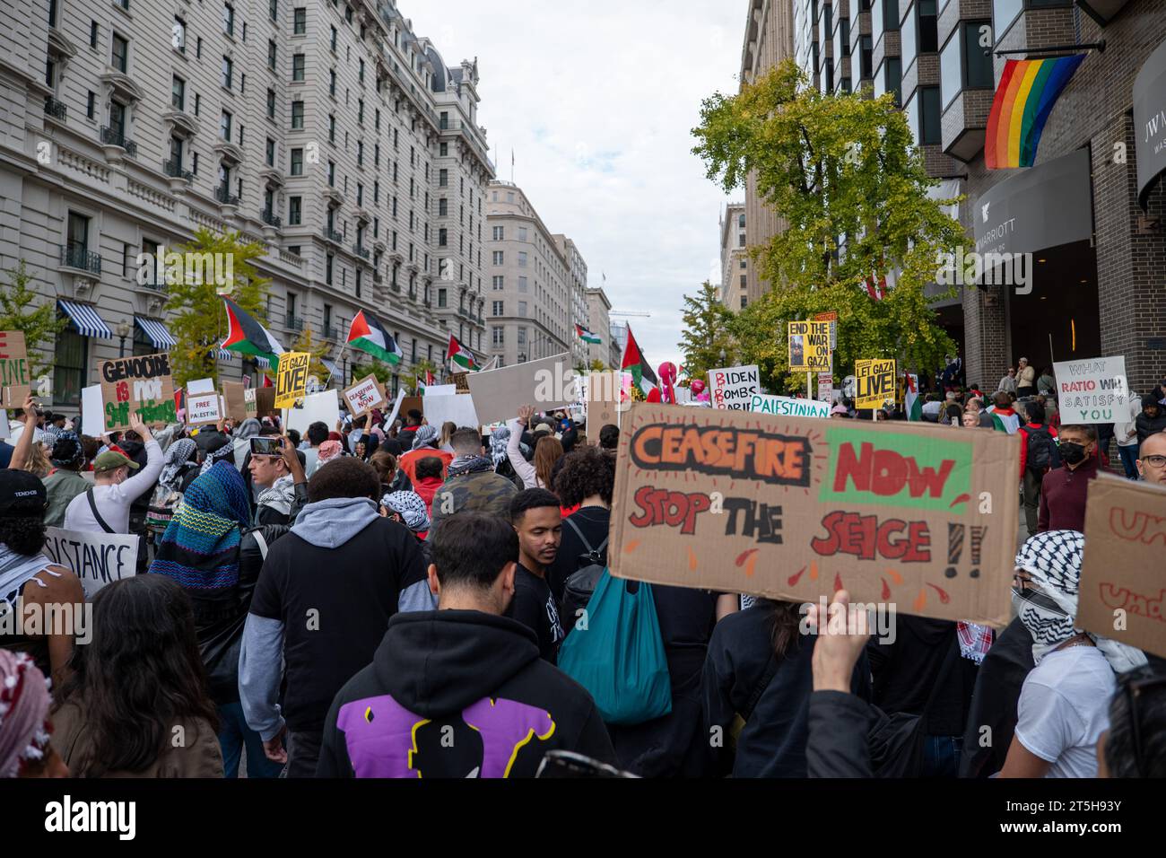Washington, DC - 11-4-2023: Ceasefire Now Signs at Pro-Palestine March ...