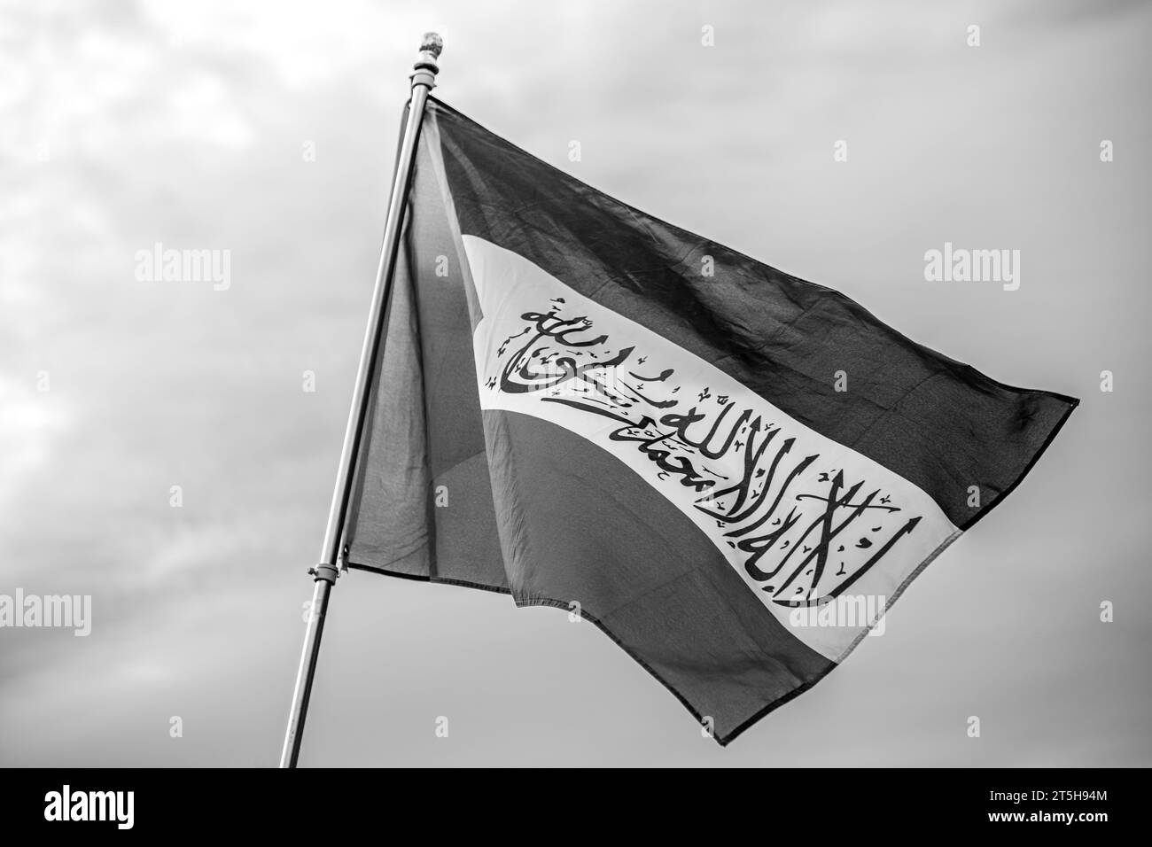 Washington, DC - 11-4-2023: Palestine Flag at Pro-Palestine March Stock ...