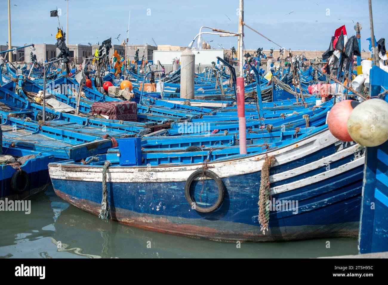 Blue boats in the port of Essaouira, Morocco Stock Photo - Alamy