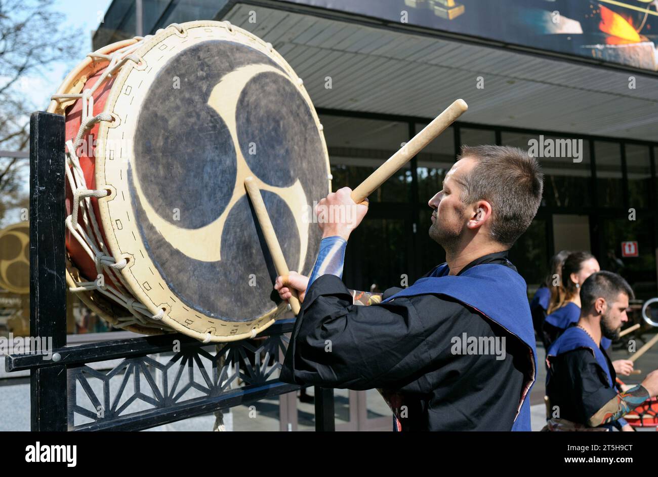 Man musician playing Japanese musical instrument taiko using drumsticks ...