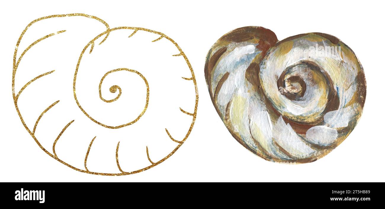 Acrylic hand painted sea shells illustration, golden graphic liner ...
