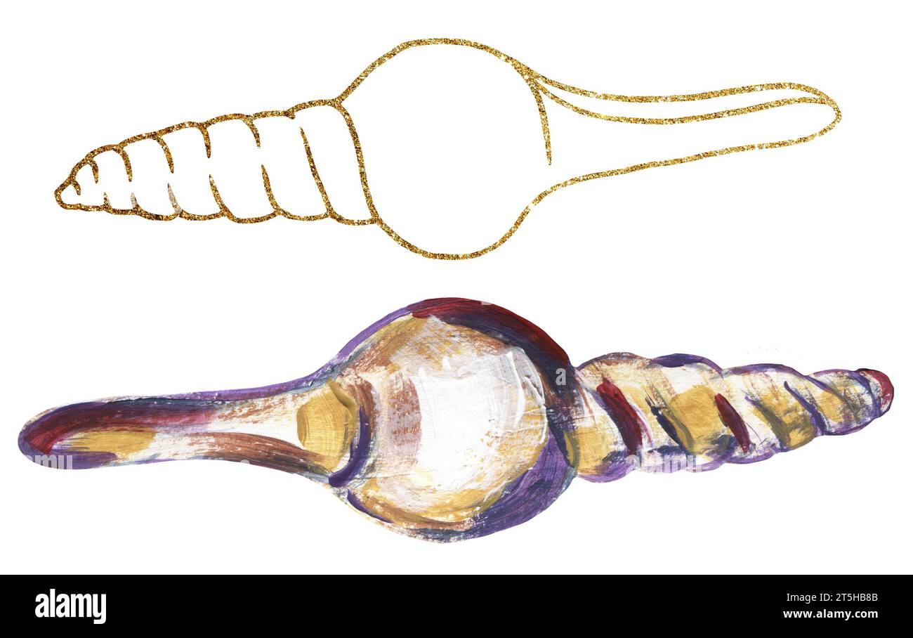 Acrylic hand painted sea shells illustration, golden graphic liner ...