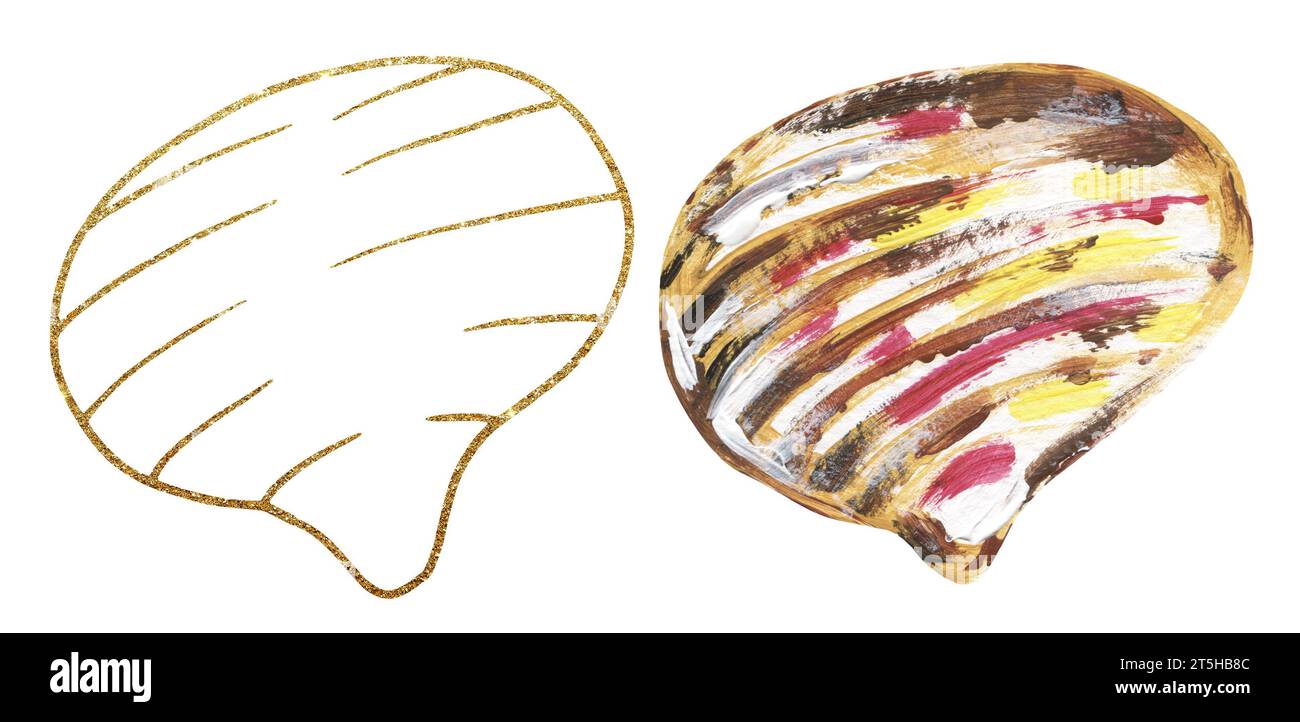 Acrylic hand painted sea shells illustration, golden graphic liner ...