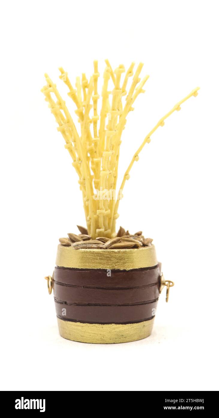 Coconut flower Cut Out Stock Images & Pictures - Alamy