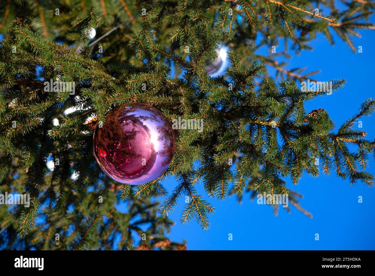 Ball tree toy hi-res stock photography and images - Alamy
