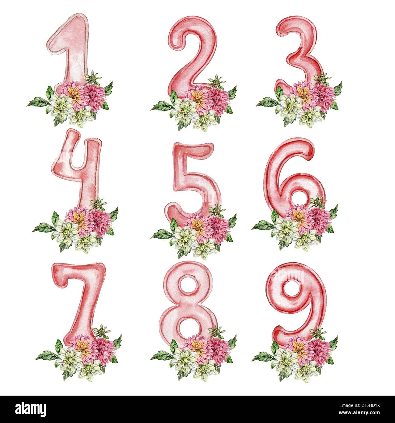 Watercolor hand drawn numbers and flowers composition. Illustration of ...