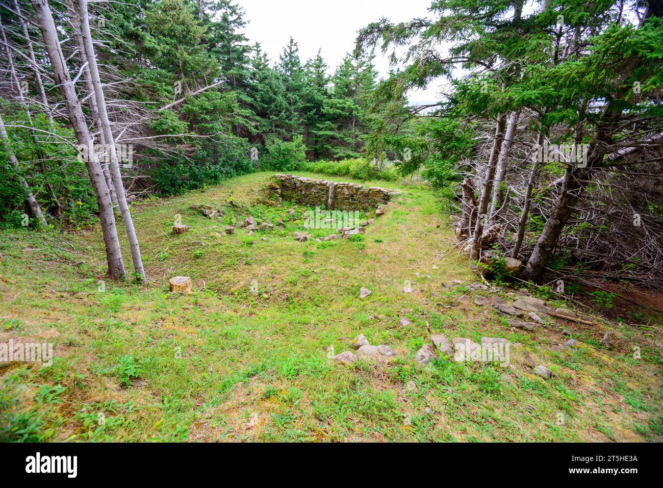 What is hidden in the scene hi-res stock photography and images - Alamy