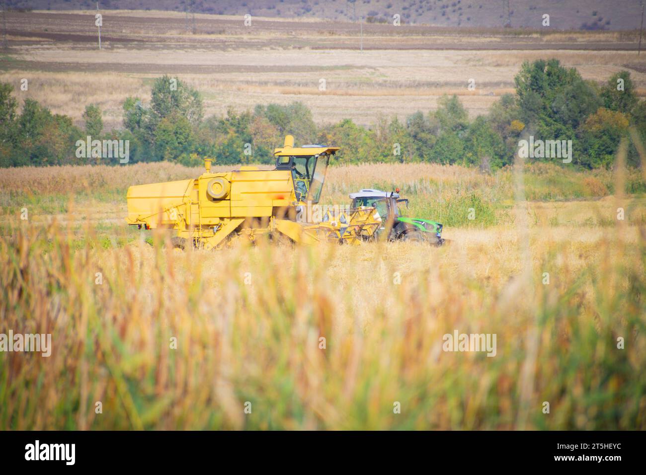 Yellow combine harvester hi-res stock photography and images - Alamy