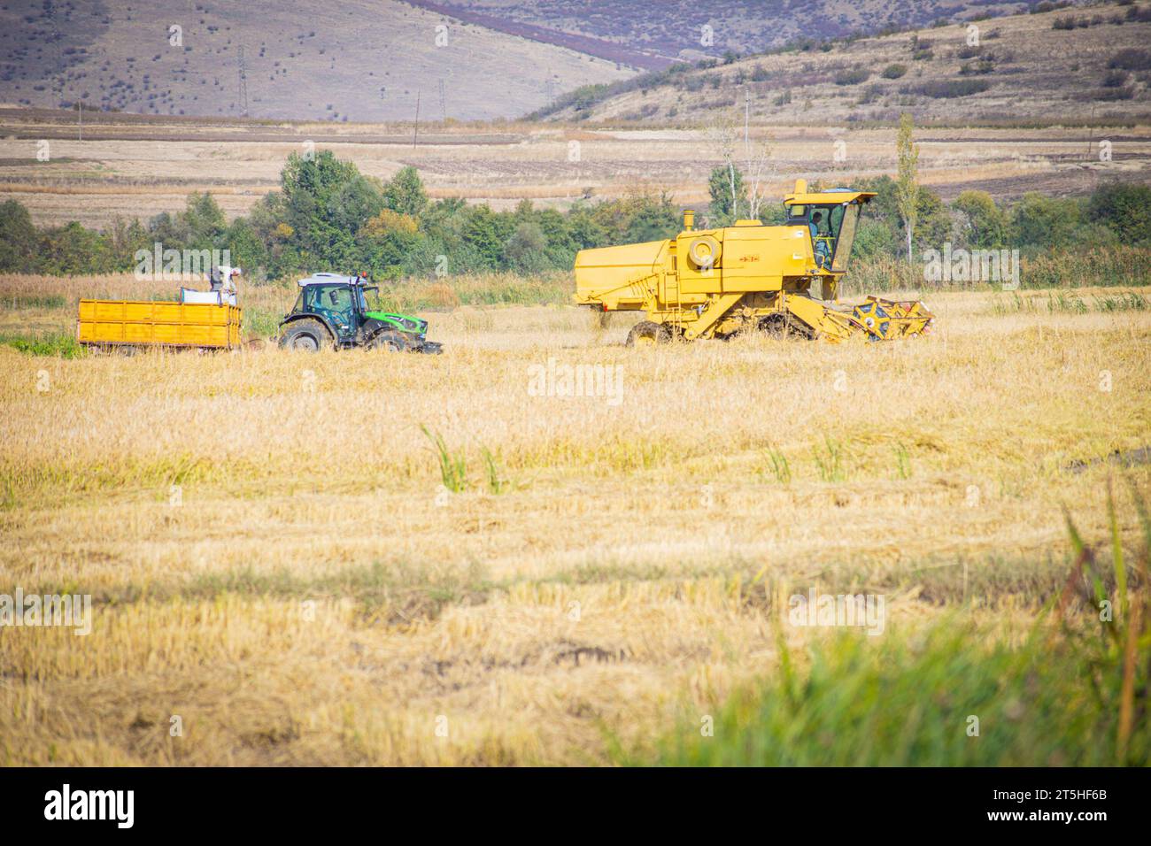 Yellow combine harvester hi-res stock photography and images - Alamy