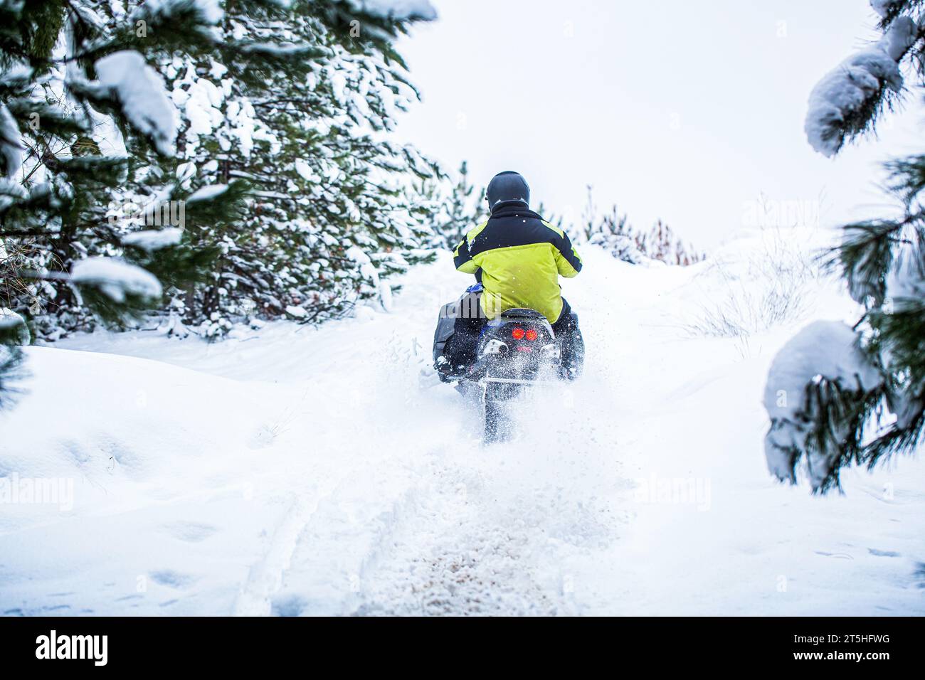 Snowmobile in snow. Concept winter sports. Man is riding snowmobile in ...