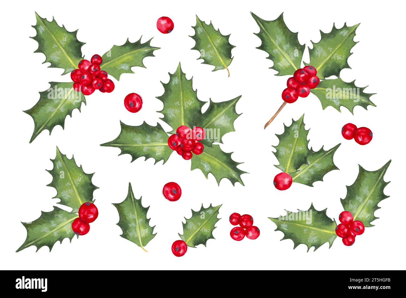 New arrangements Cut Out Stock Images & Pictures - Alamy