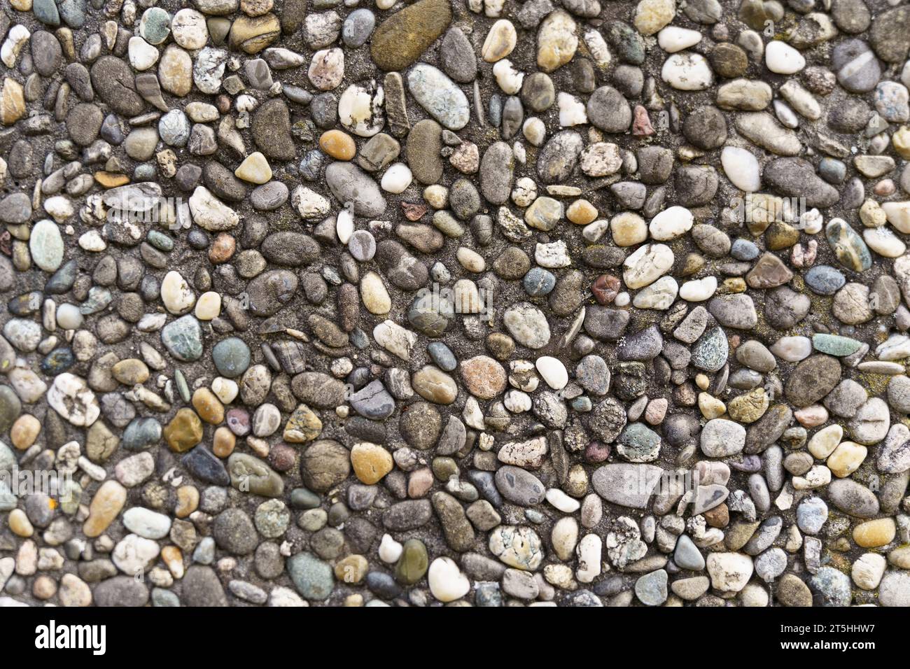 Texture of the surface of a wall made of concrete and small stones ...